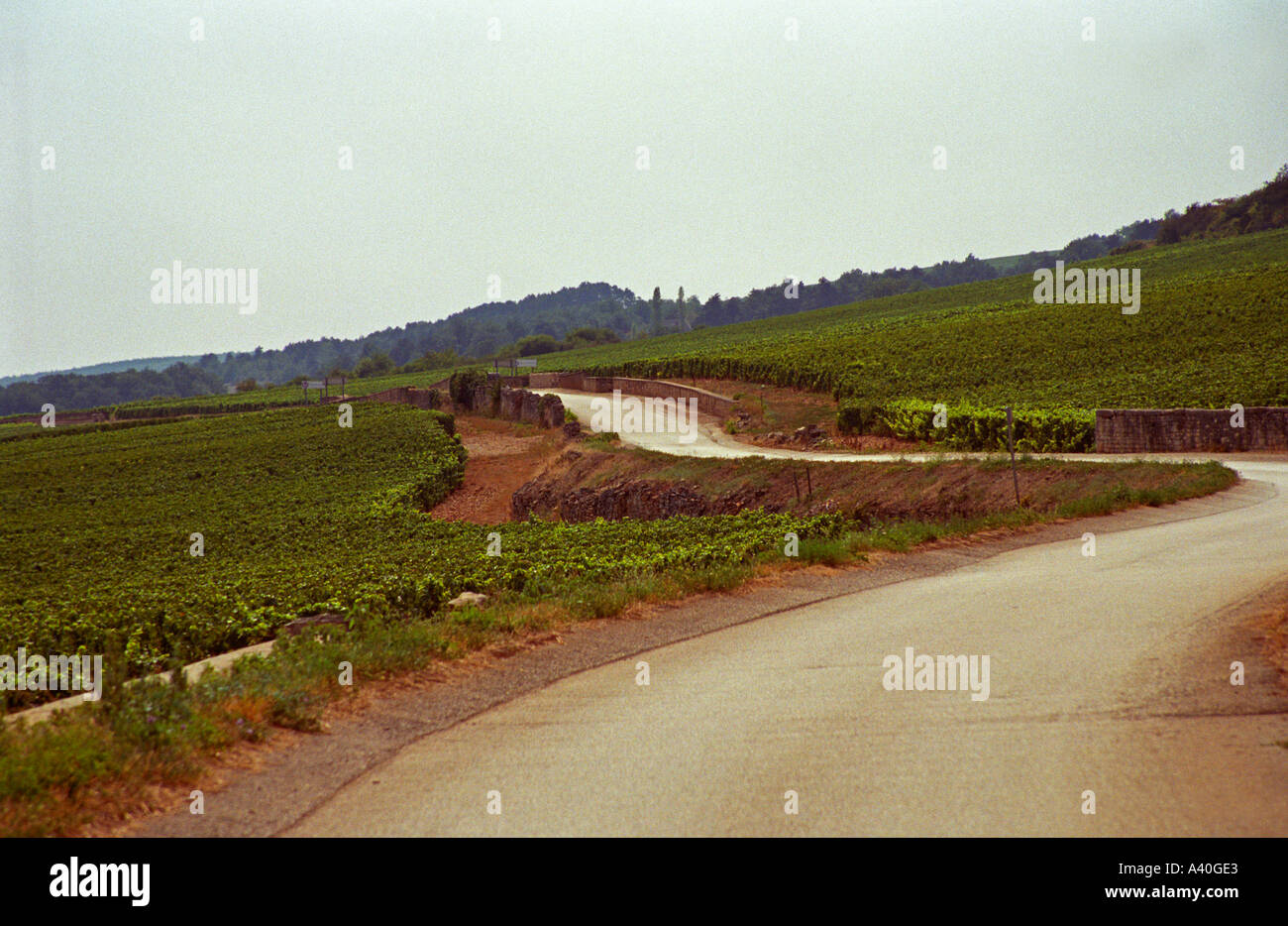 Undulation road hi-res stock photography and images - Alamy