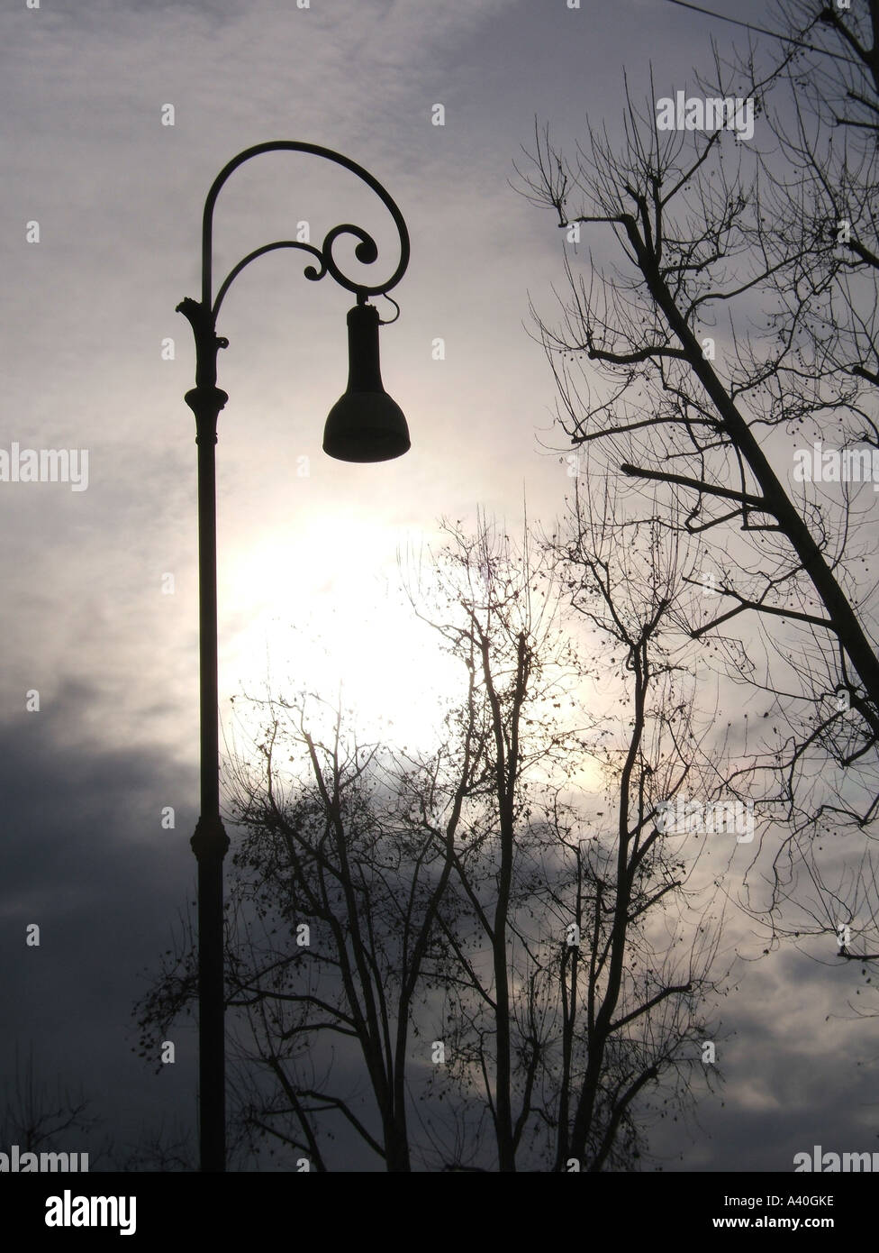 lampo post and trees silhouette Stock Photo - Alamy