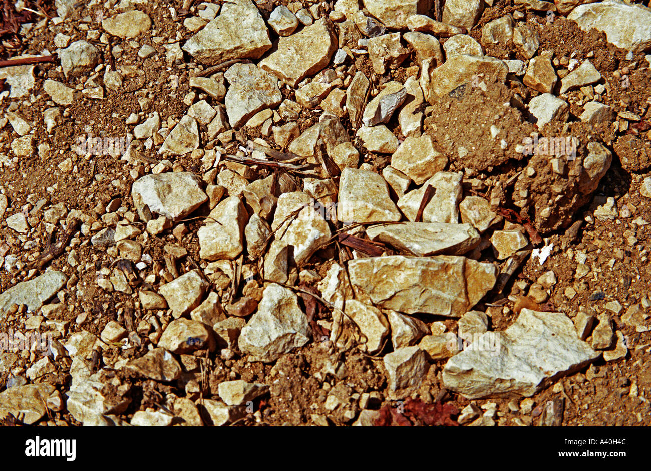 Chablis: This is the limestone soil in Les Clos grand cru vineyard ...