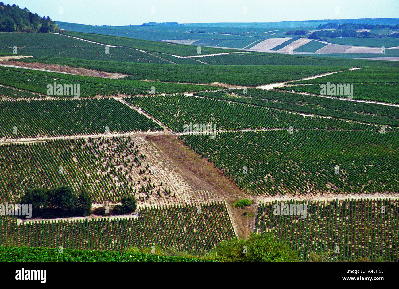 Chablis terroir hi-res stock photography and images - Alamy