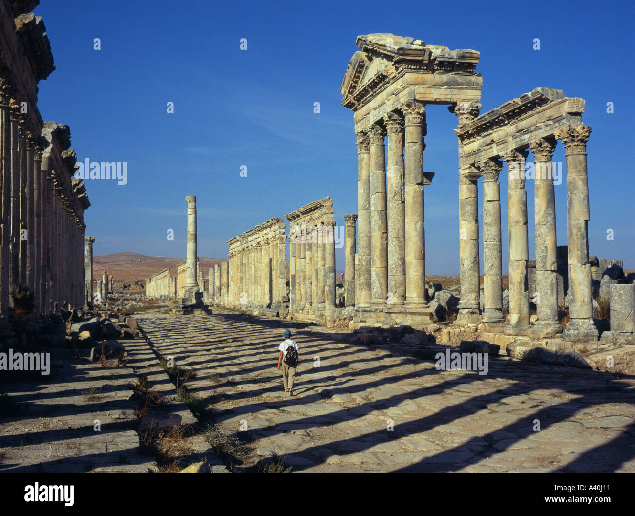 Syria Apamea Afamia roman archeological site the Cardo view with ...