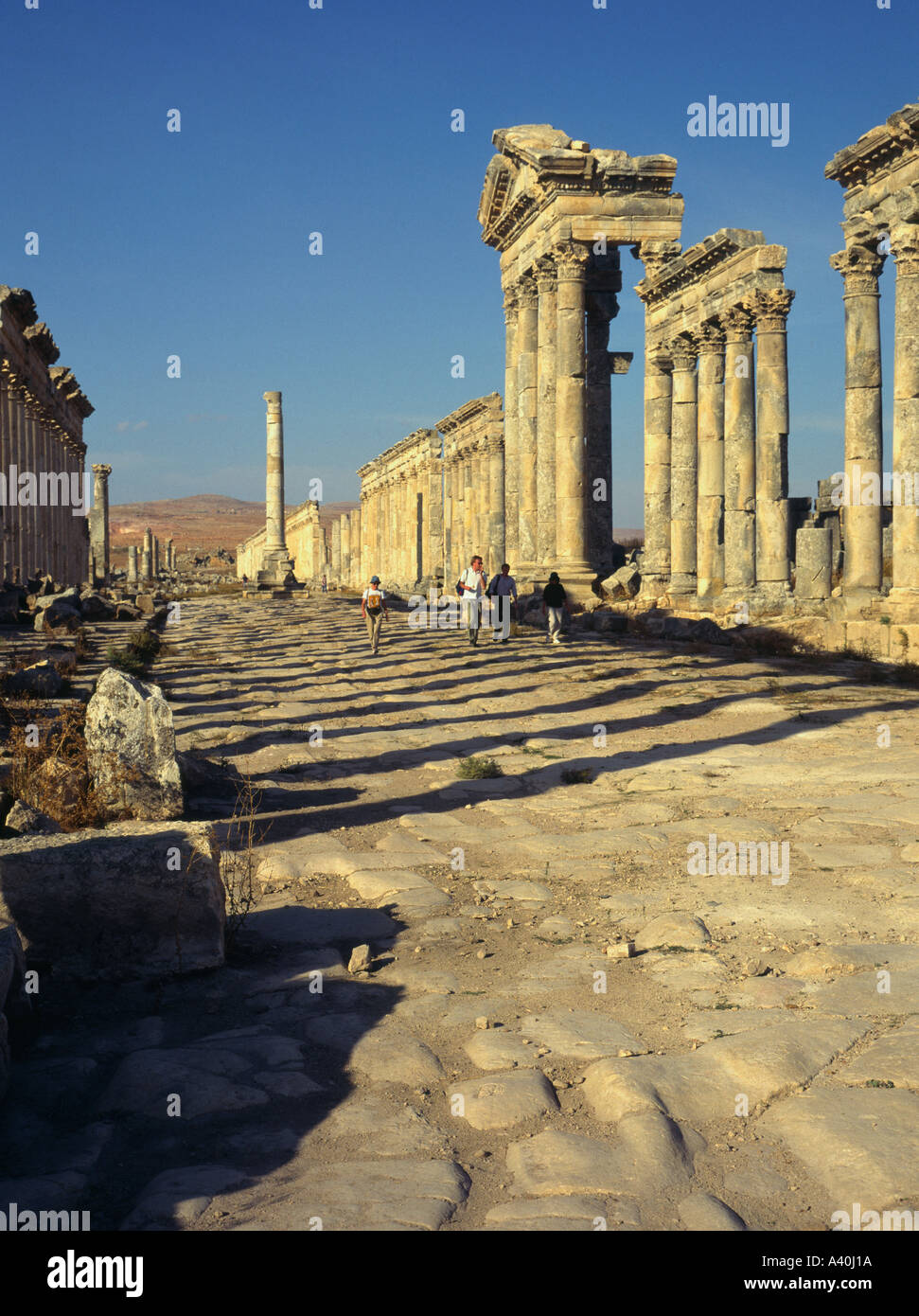 Syria Afamia Apamea archeological site the roman city view of the Cardo ...