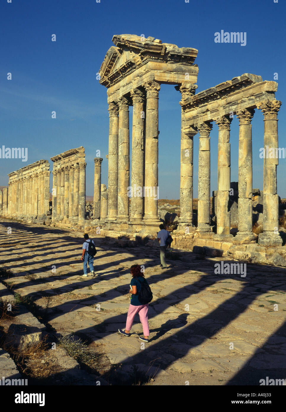 Afamia hi-res stock photography and images - Alamy