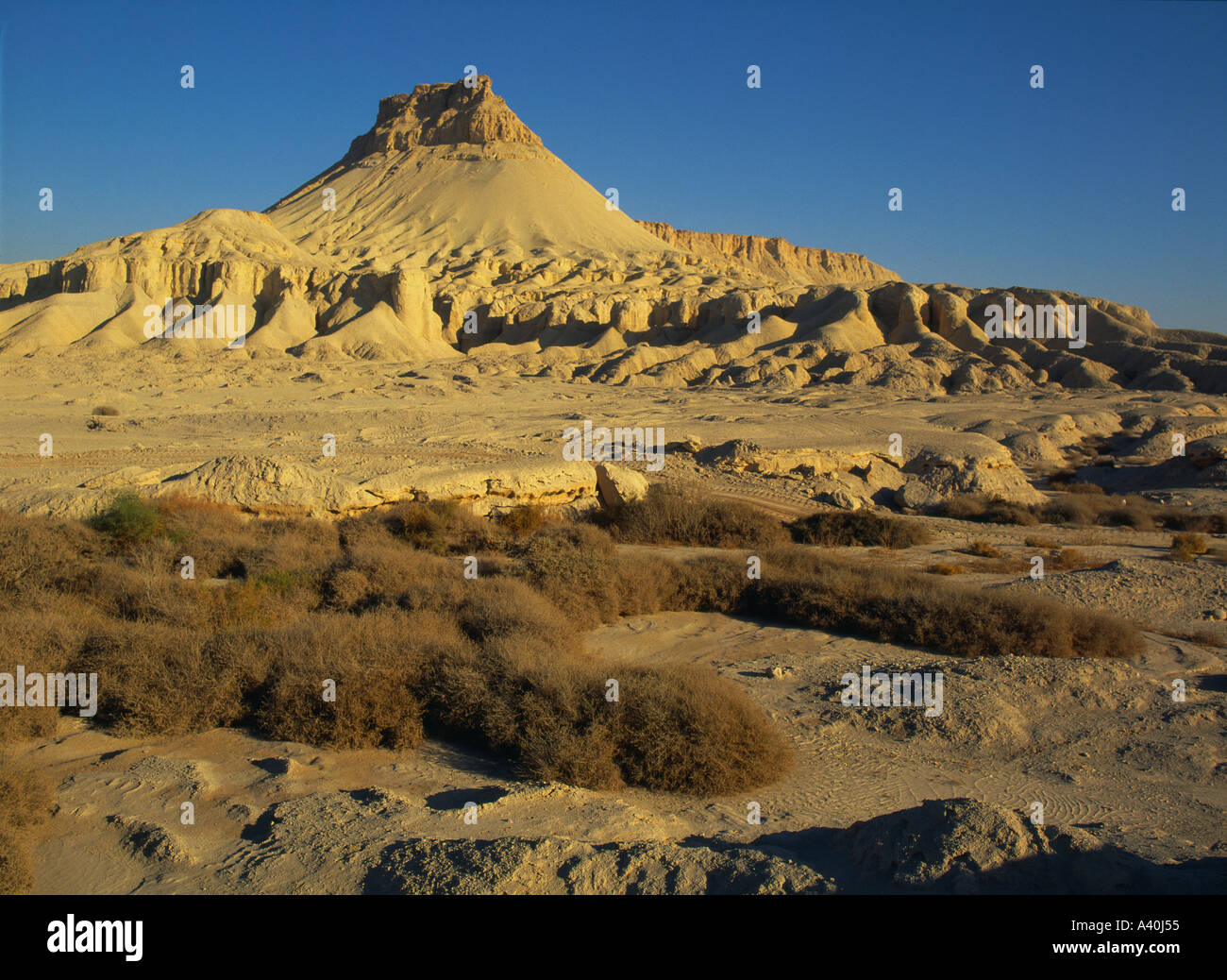 Israel Arava Valley Negev Mount Zin view with shrubs in frgd Stock ...