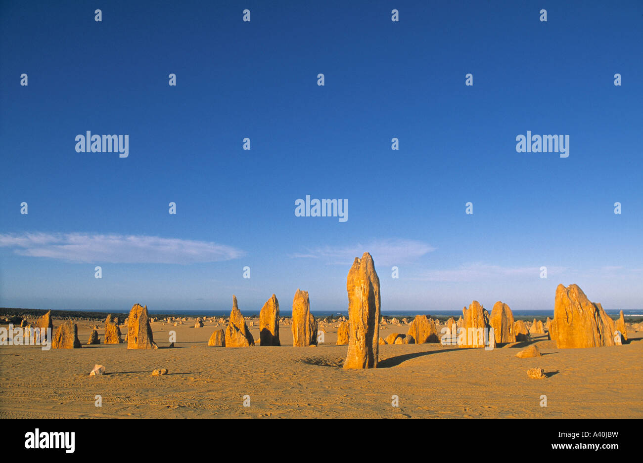 The Pinnacles Western Australia Australia Stock Photo - Alamy