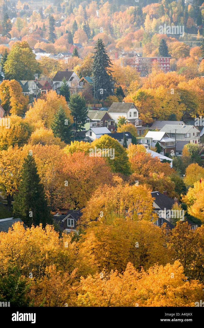 Nelson British Columbia Canada Stock Photo - Alamy