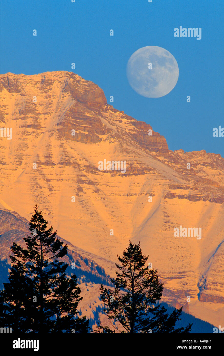 Winter moonset over the Sawridge range Banff National Park Alberta ...