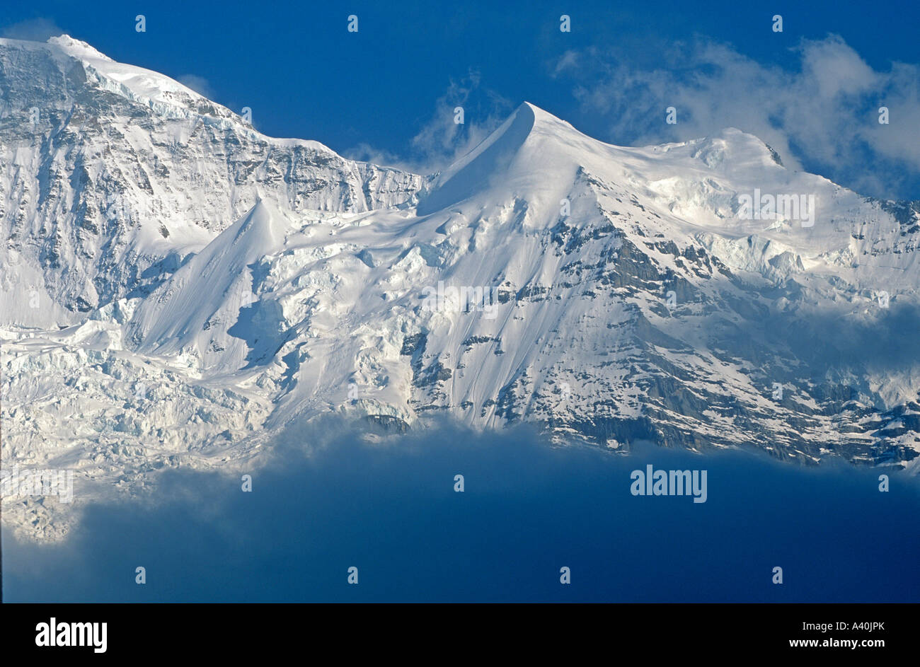 Silberhorn Jungfrau Berner Oberland Switzerland Stock Photo - Alamy