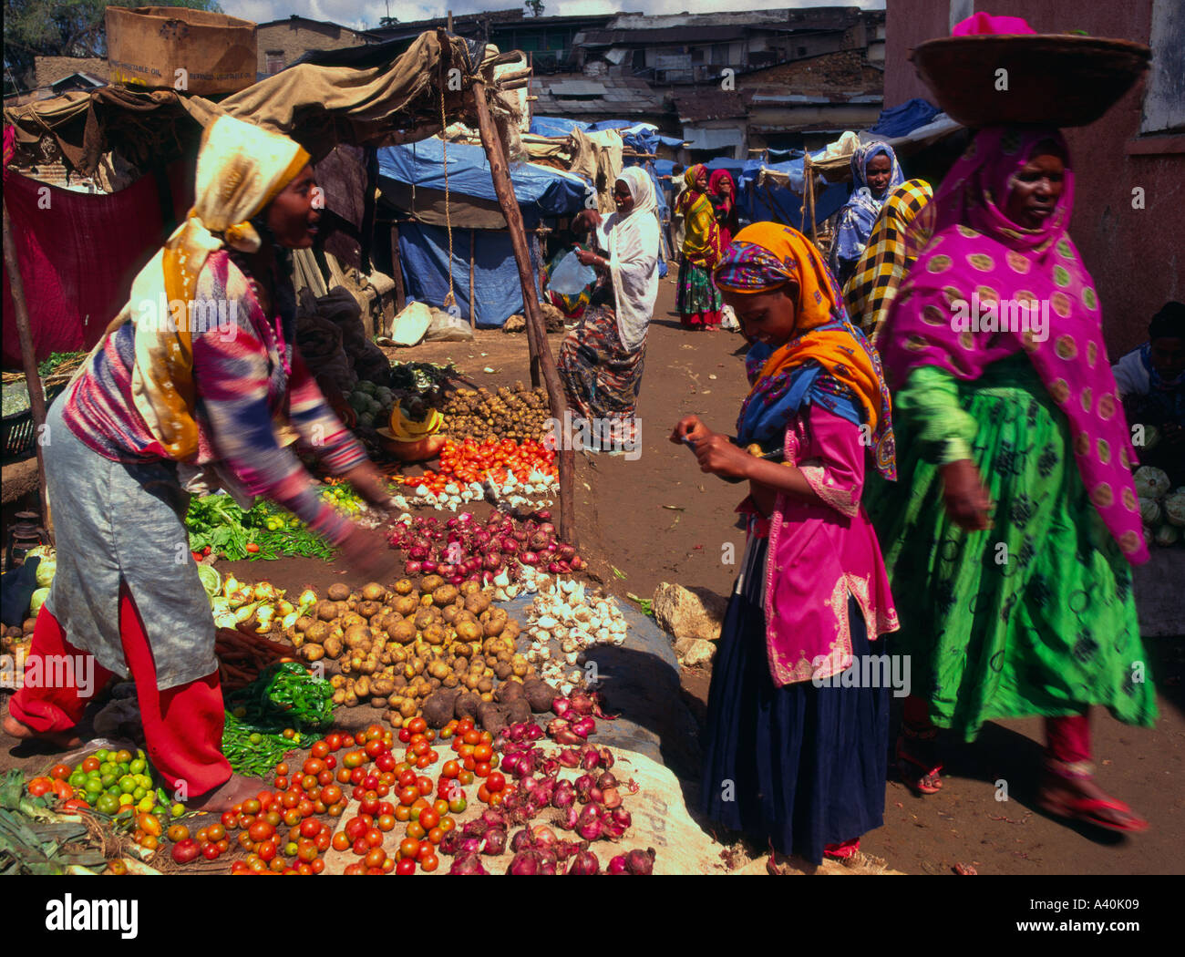 Ethiopia Harar vegetable market woman selling at vegetable stall and ...