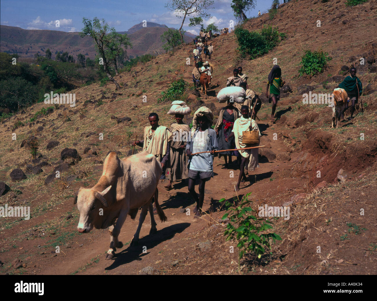 Ethiopia Lake Tana region Tiss Abay Blue Nile waterfall group of local ...