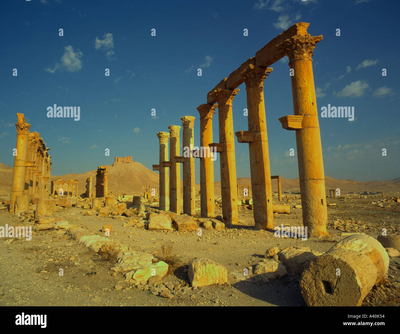 Syria Palmyra roman city archeological site the Great Colonade Cardo ...