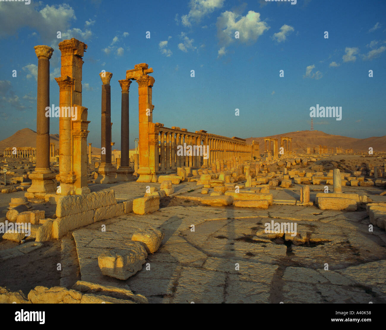 Syria Palmyra roman city archeological site view with the Great ...