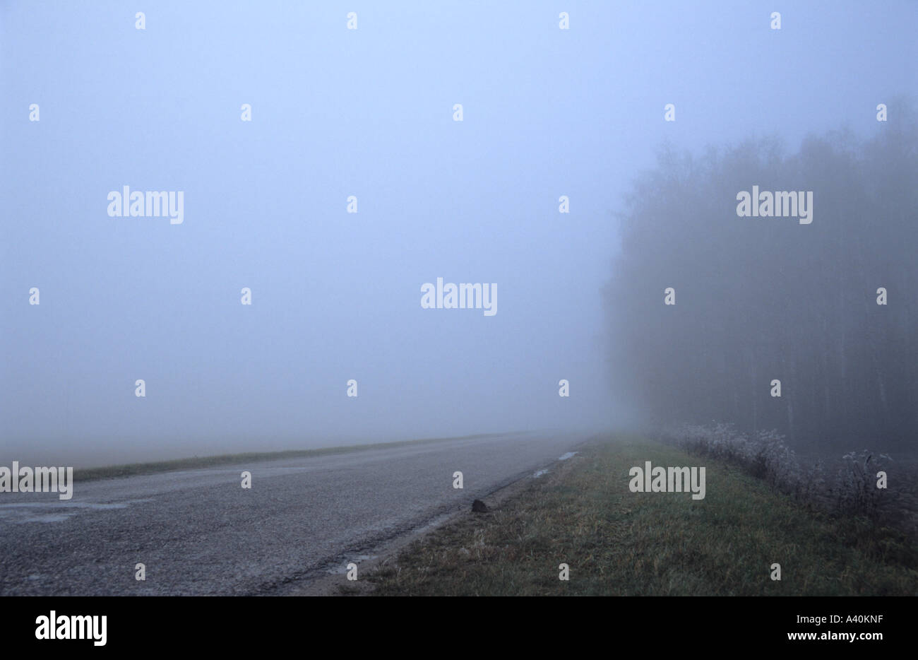 Tervete park hi-res stock photography and images - Alamy