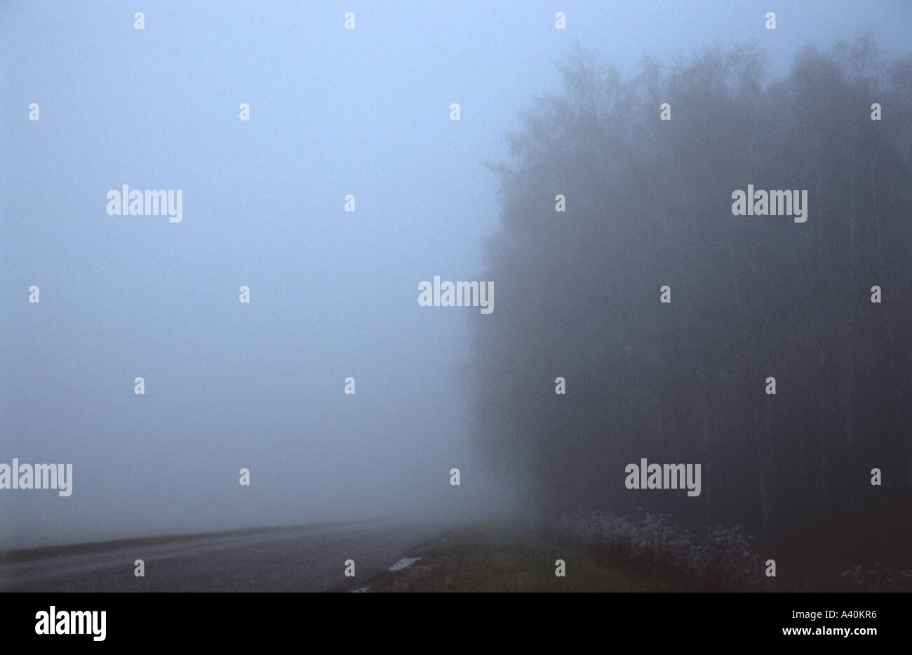 Foggy road to Tervete Nature Park Latvia Stock Photo - Alamy