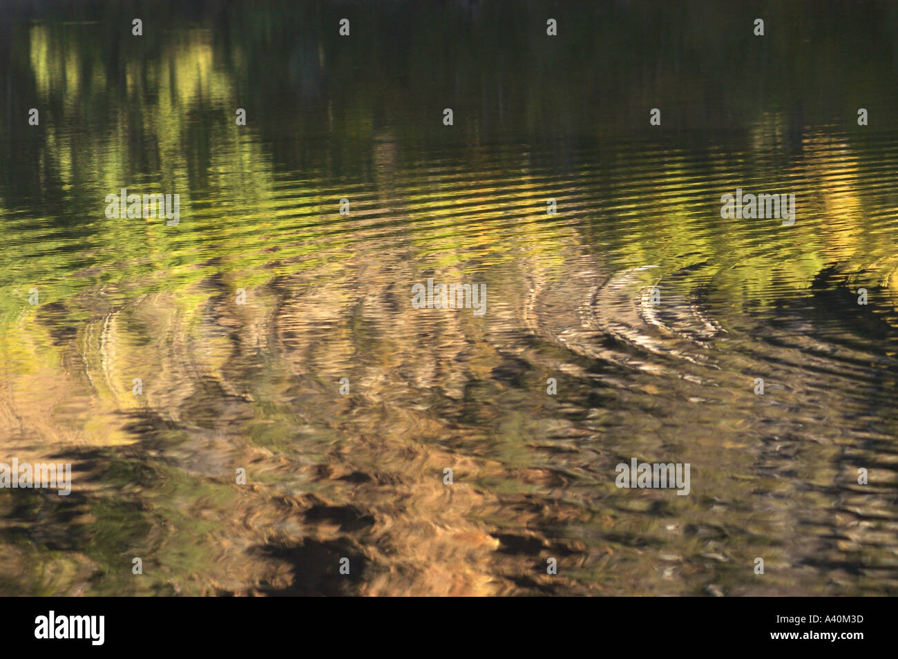 lake ripples CA Stock Photo - Alamy