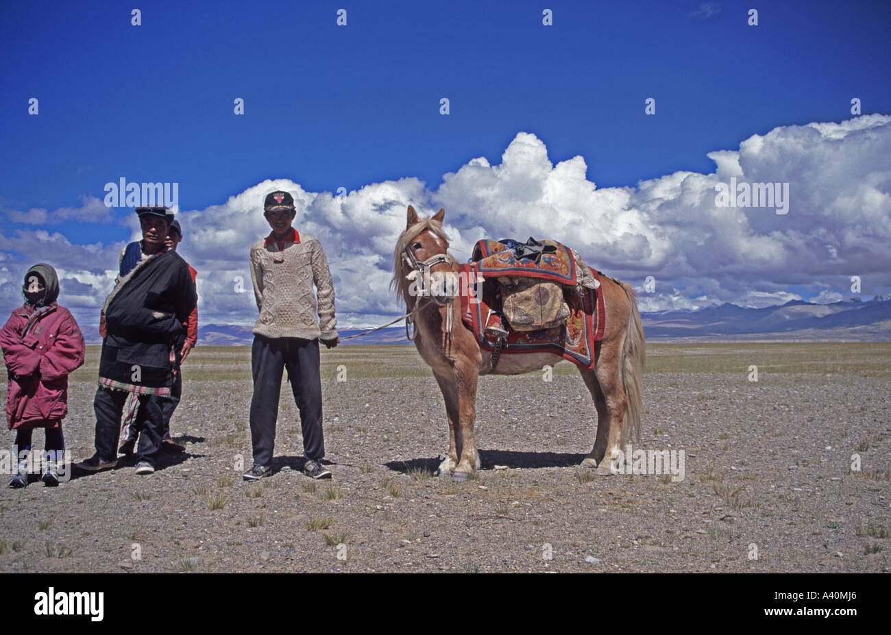 Tibetan nomads with horse, Tibetan Plateau, Western Tibet Stock Photo ...