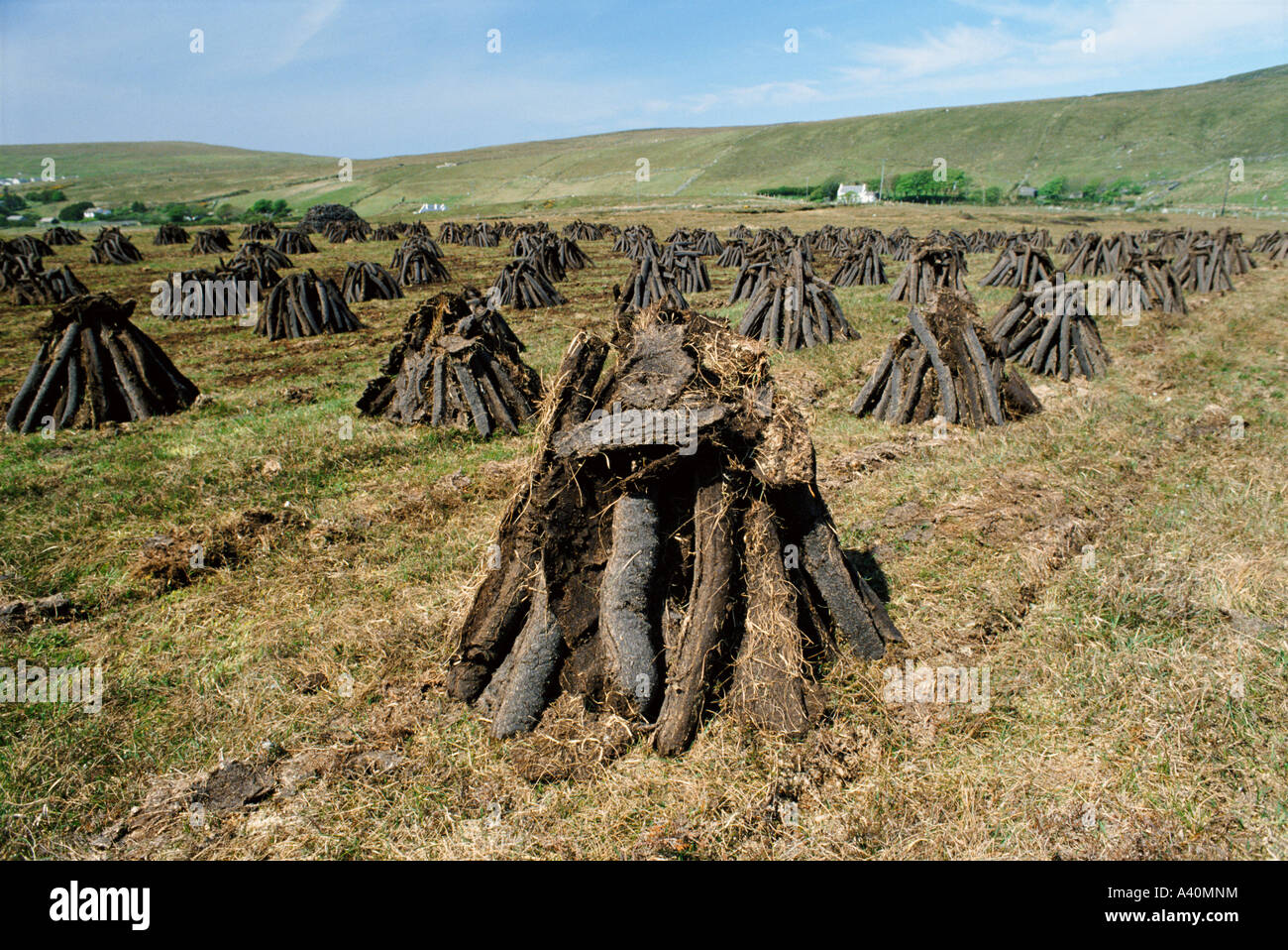 Peat farming or cutting Connemara region near Clifden County Galway ...