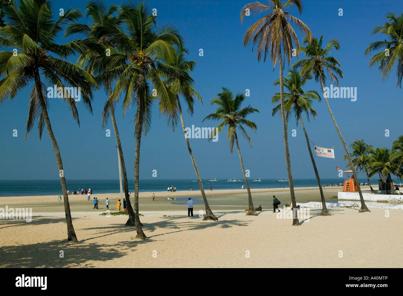 Colva Beach Goa India Stock Photo - Alamy