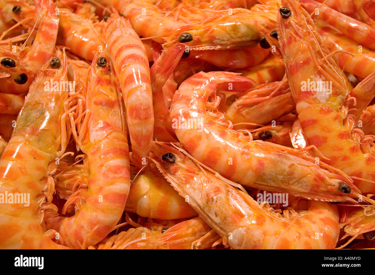 De barrrameda hi-res stock photography and images - Alamy