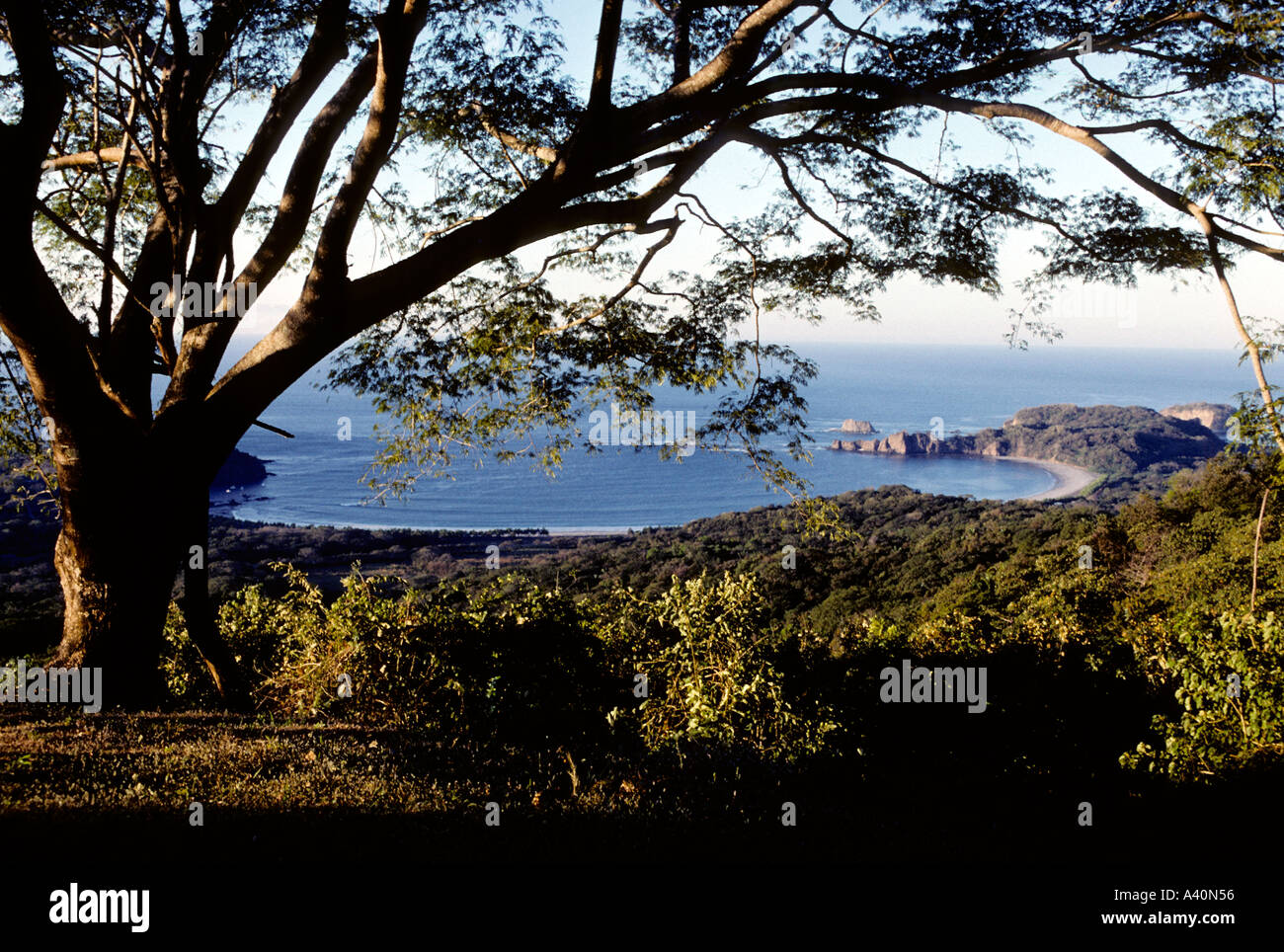 Early morning Playa Carrillo Pacific Coast Costa Rica Stock Photo - Alamy