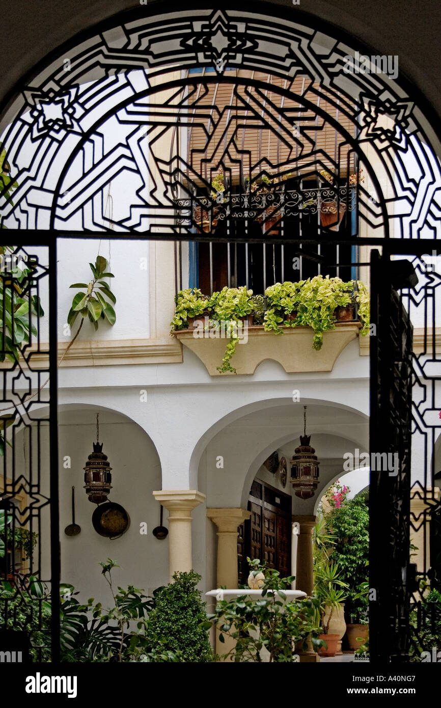 typical patio with flowers of cordoba andalusia spain Stock Photo - Alamy