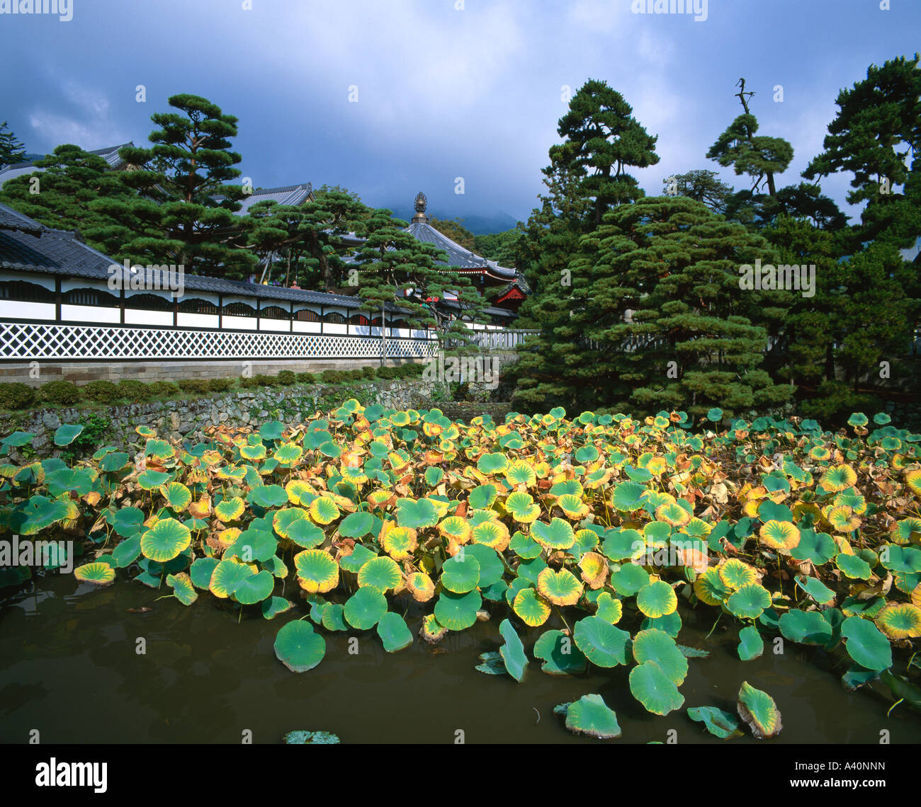 Zenko ji Temple Nagano Japan Stock Photo - Alamy