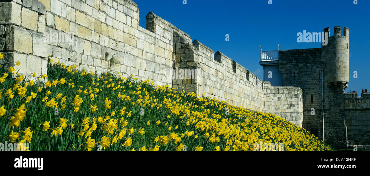 The city walls and Walmgate Bar,York,England Stock Photo - Alamy