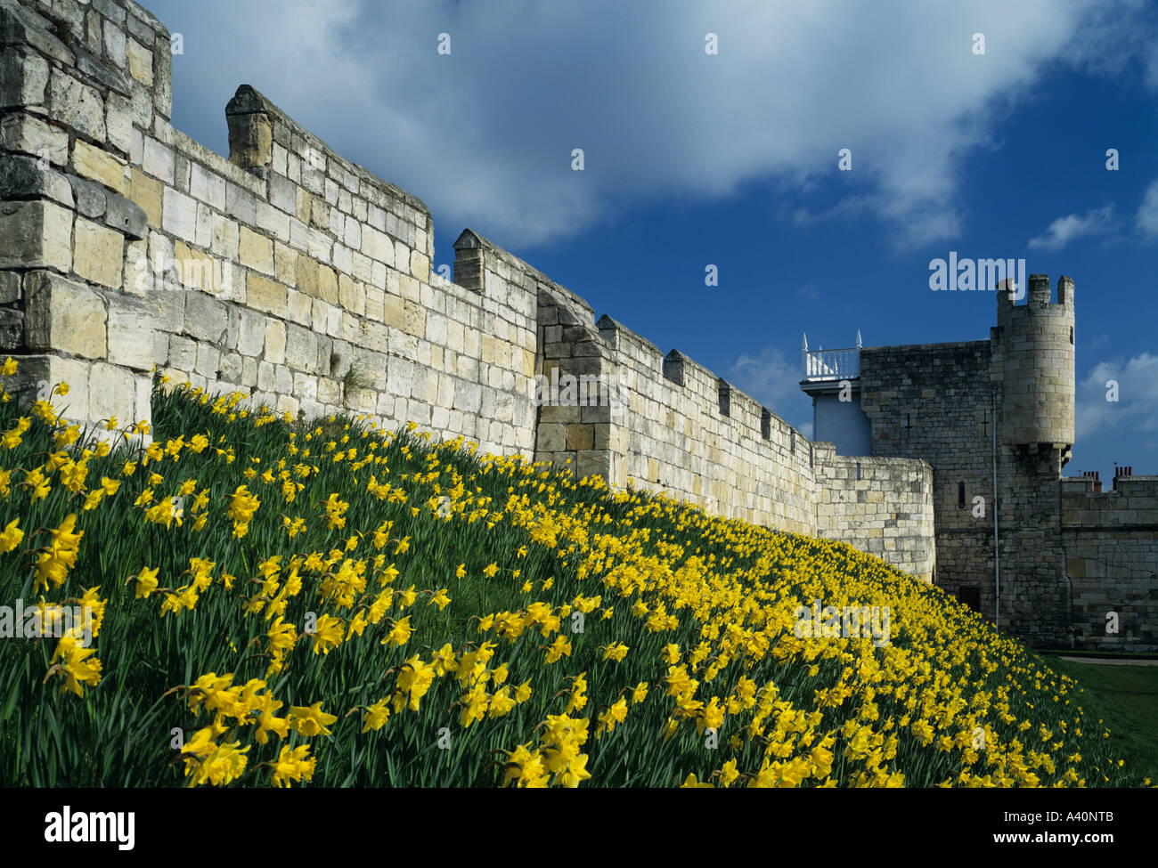 The city walls and Walmgate Bar,York,England Stock Photo - Alamy