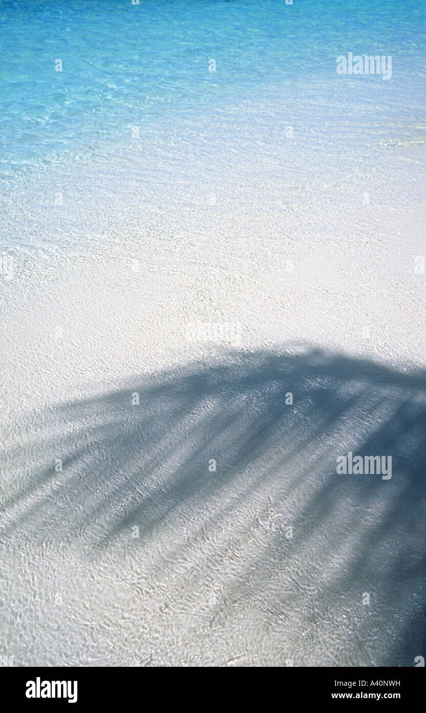 Palm shadow The Maldives Stock Photo - Alamy