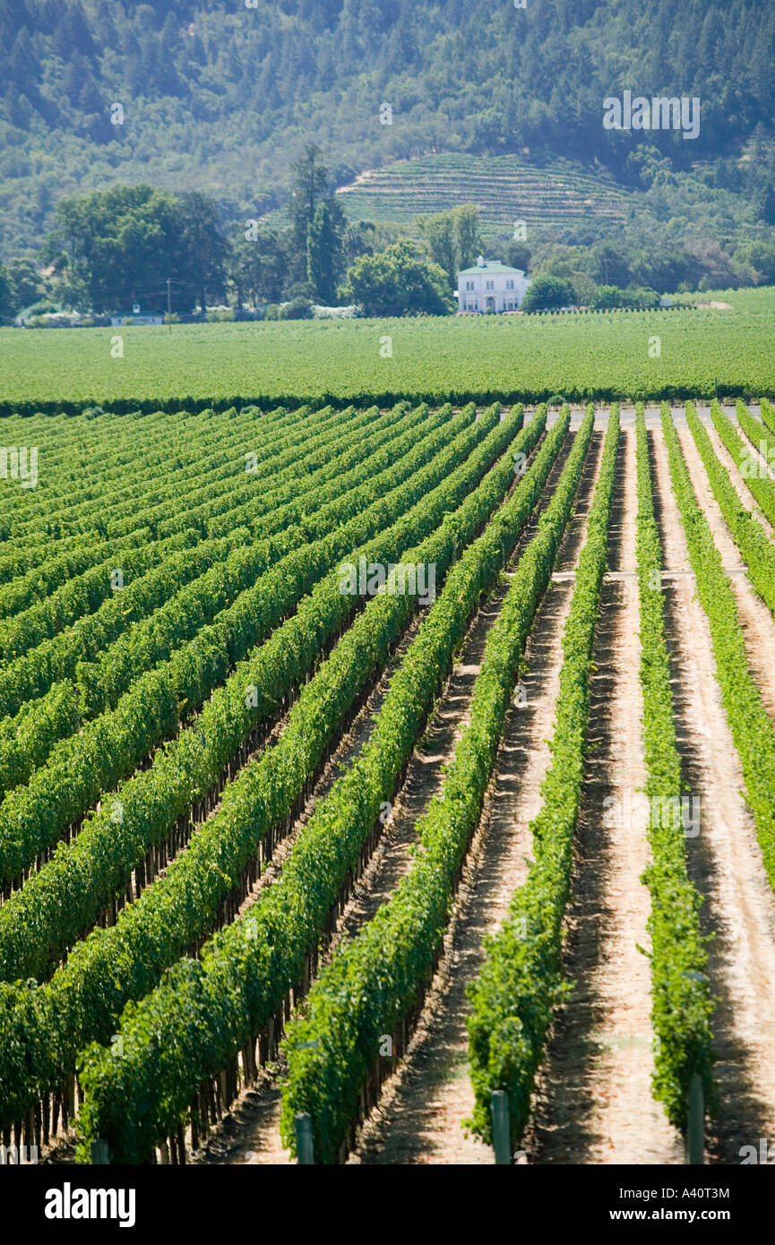 Opus One Winery Rutherford Napa Valley California USA Stock Photo - Alamy