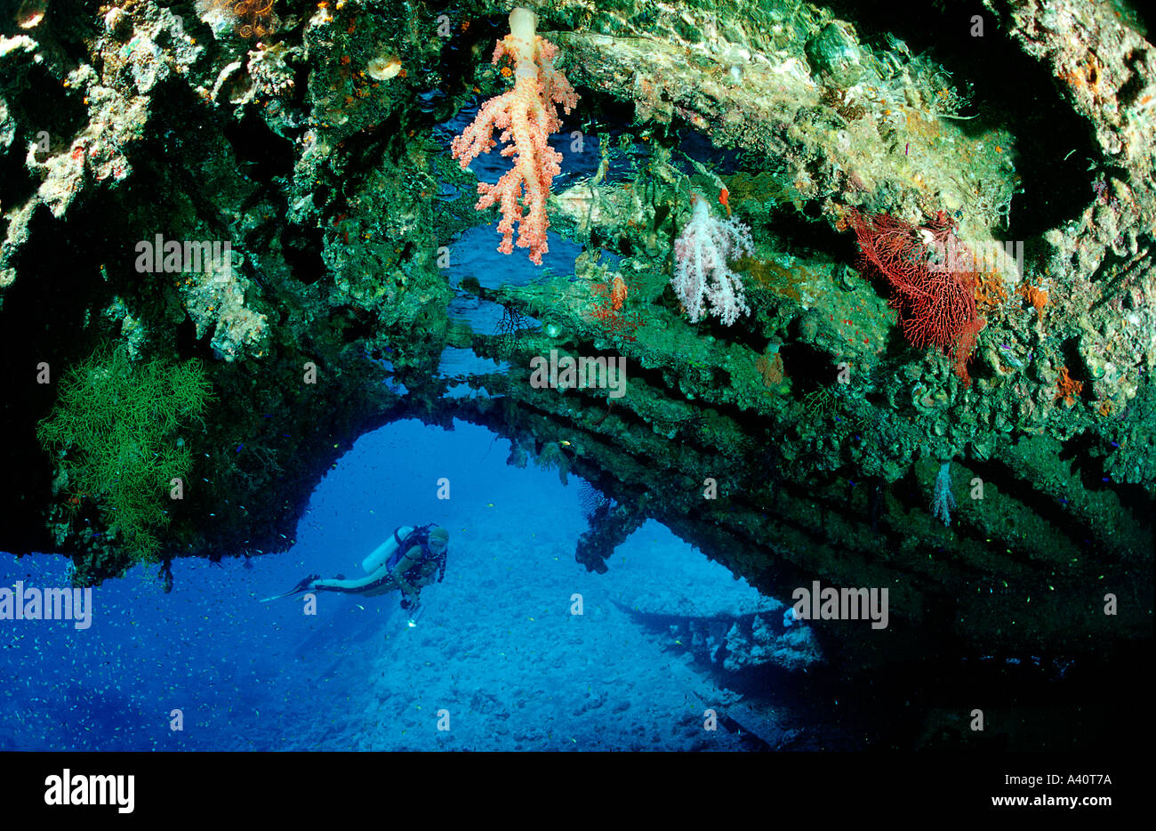 Taucher im Laderaum der Dunraven Schiffswrack Scuba diver and ship ...