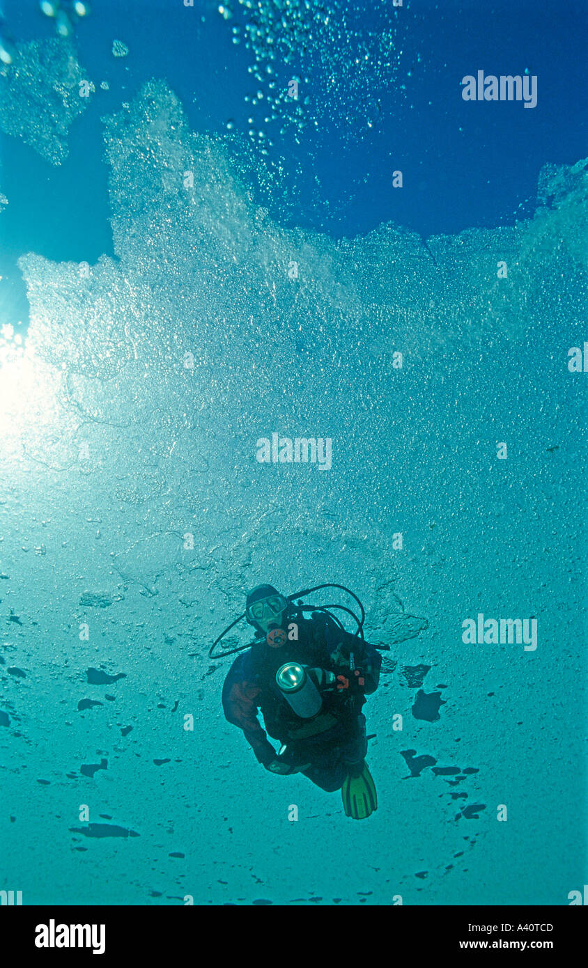 Scuba diver ice hi-res stock photography and images - Alamy