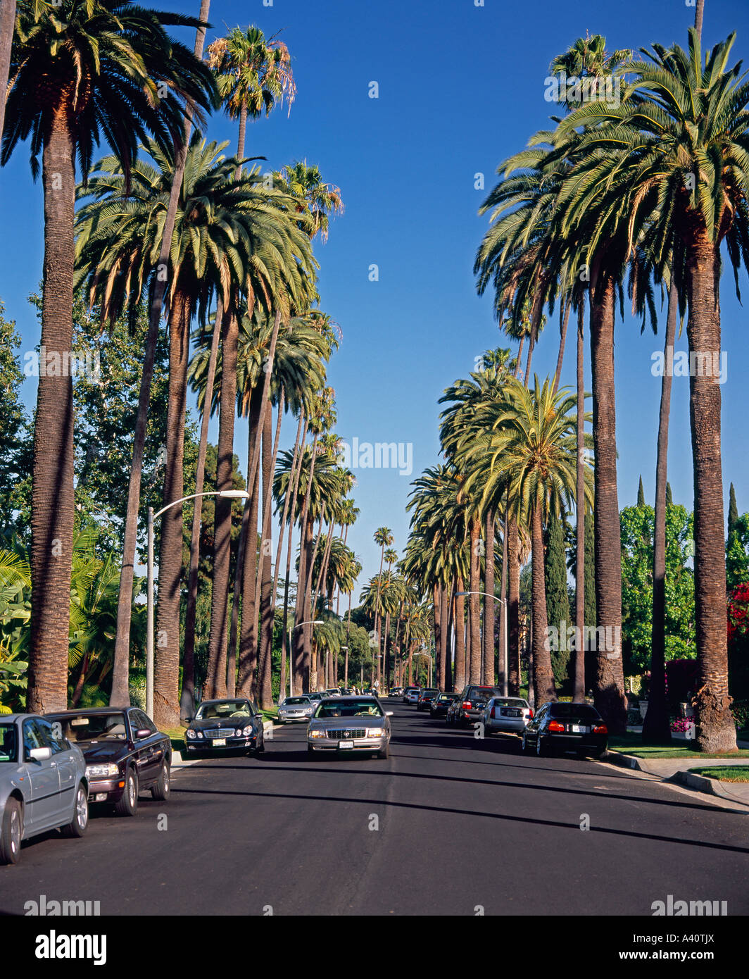 Beverly Hills Los Angeles California USA Stock Photo - Alamy