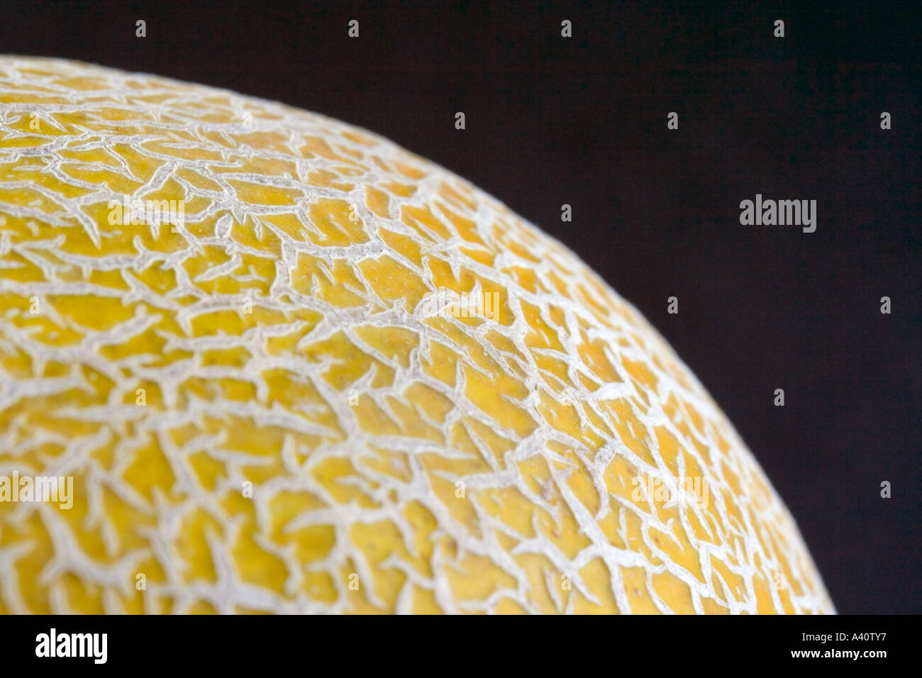 View of melon, looks like planet seen from space. Dark background Stock ...
