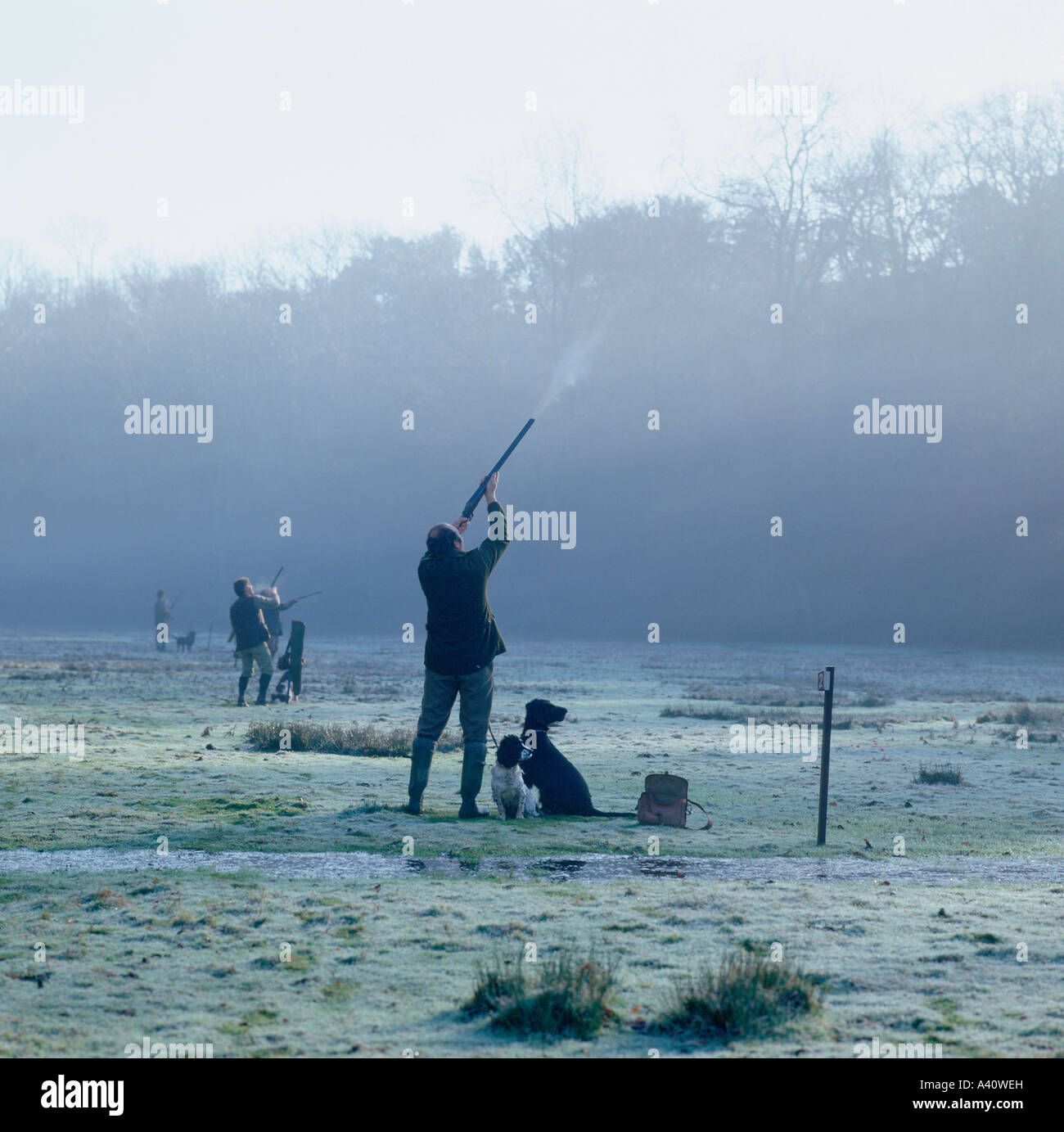 Shooting dog hi-res stock photography and images - Alamy