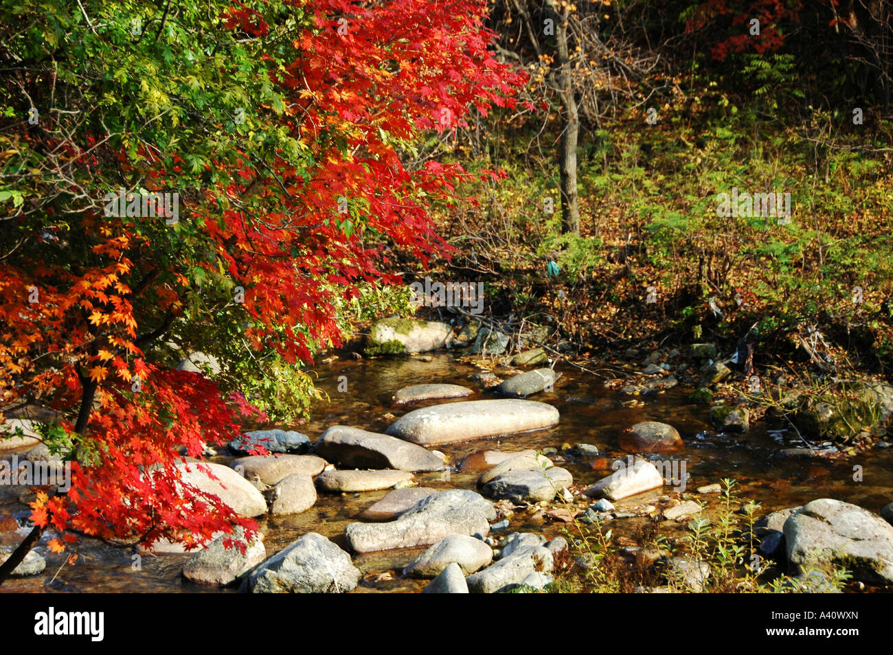 Benxi china liaoning hi-res stock photography and images - Alamy