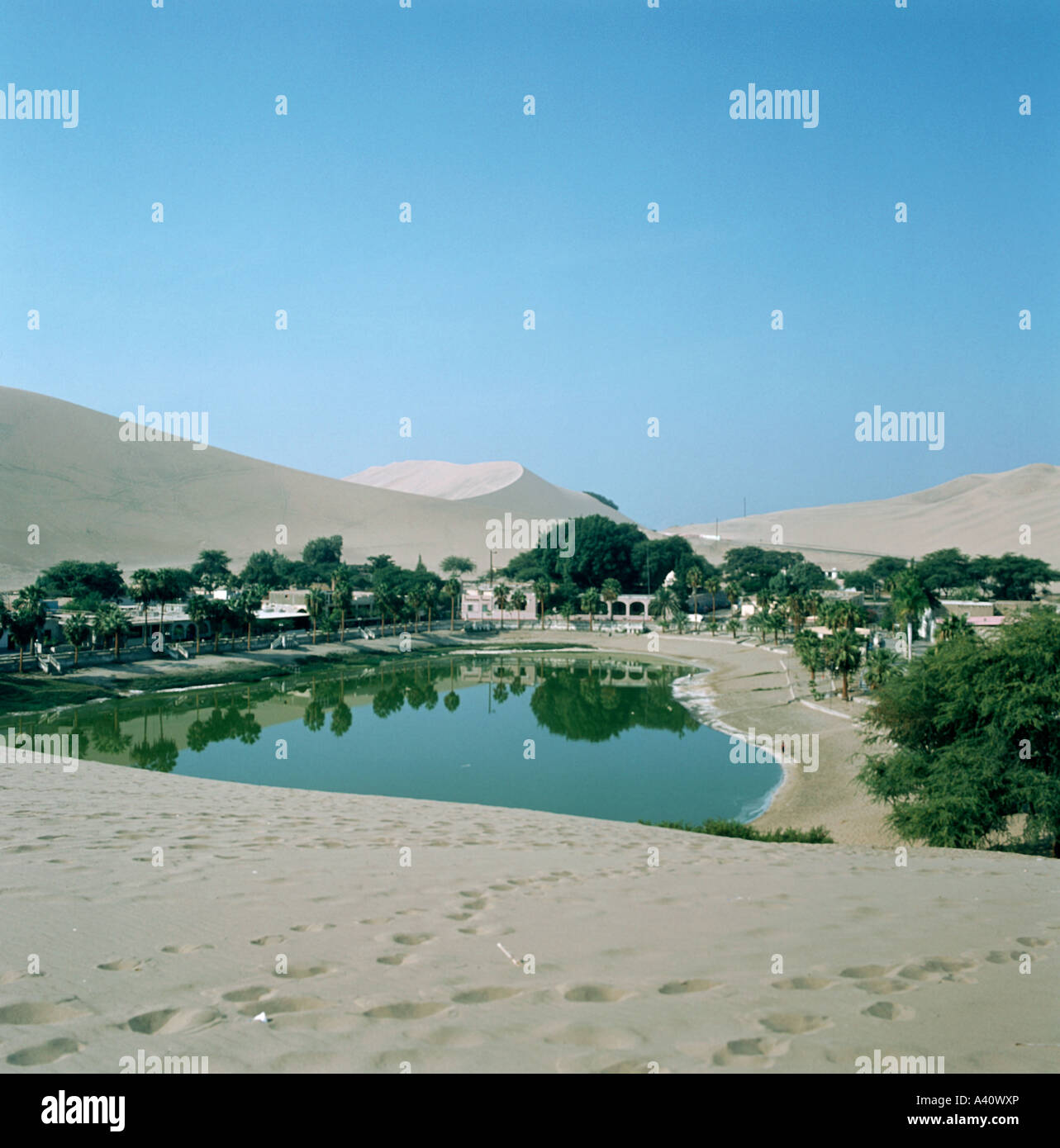 Oasis in desert at Huacachina Peru with palm trees reflected in water ...