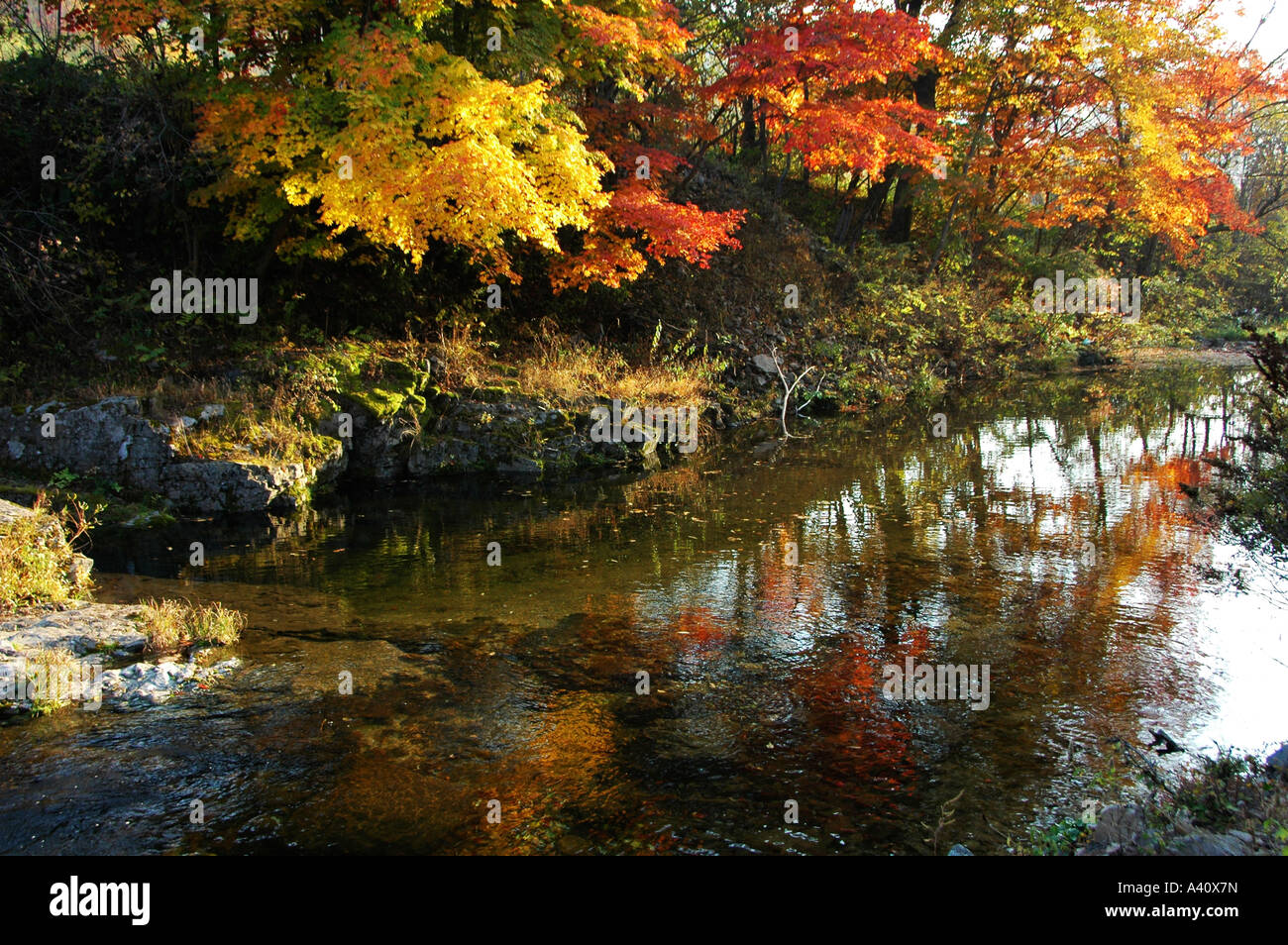Dongbei china hi-res stock photography and images - Alamy