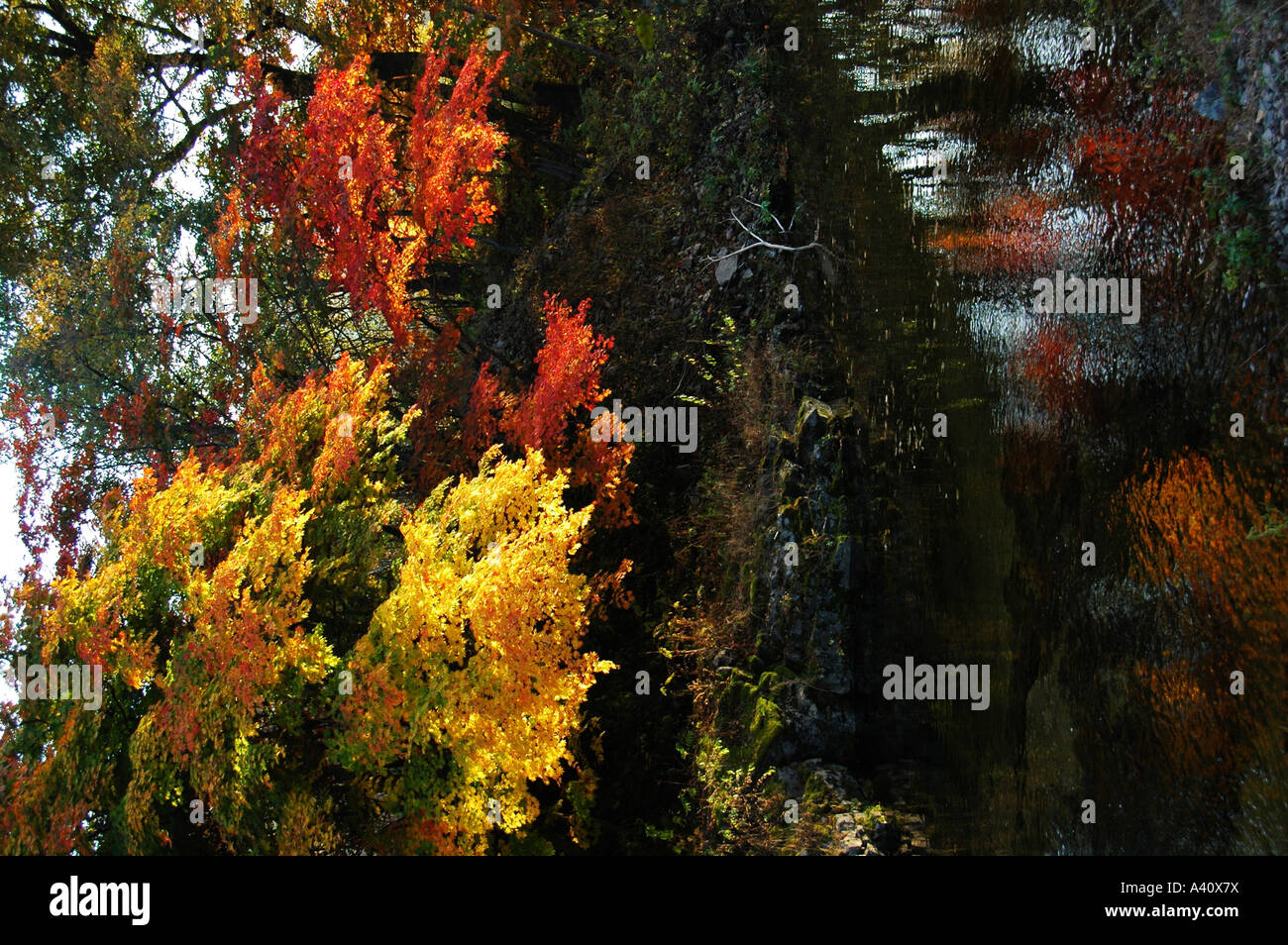 Dongbei china hi-res stock photography and images - Alamy