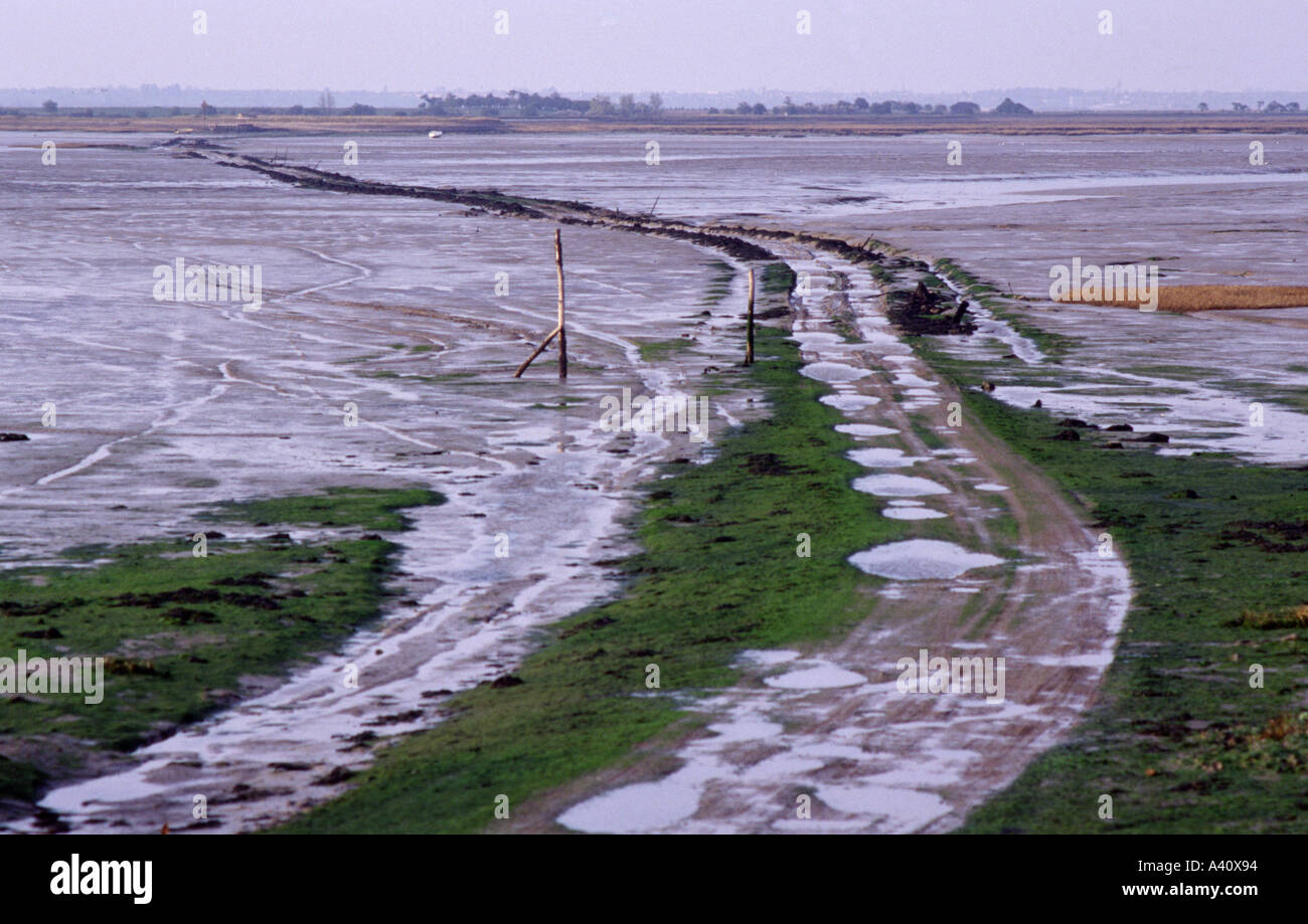 The Causeway across Horsey Mere to Horsey Island Walton Backwaters ...