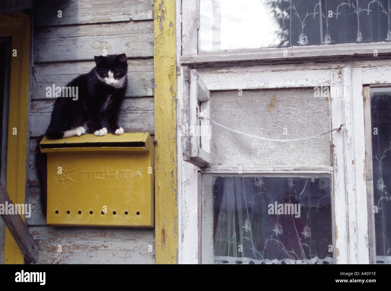 Cat sitting on a post box in Haapsaalu Estonia Stock Photo - Alamy