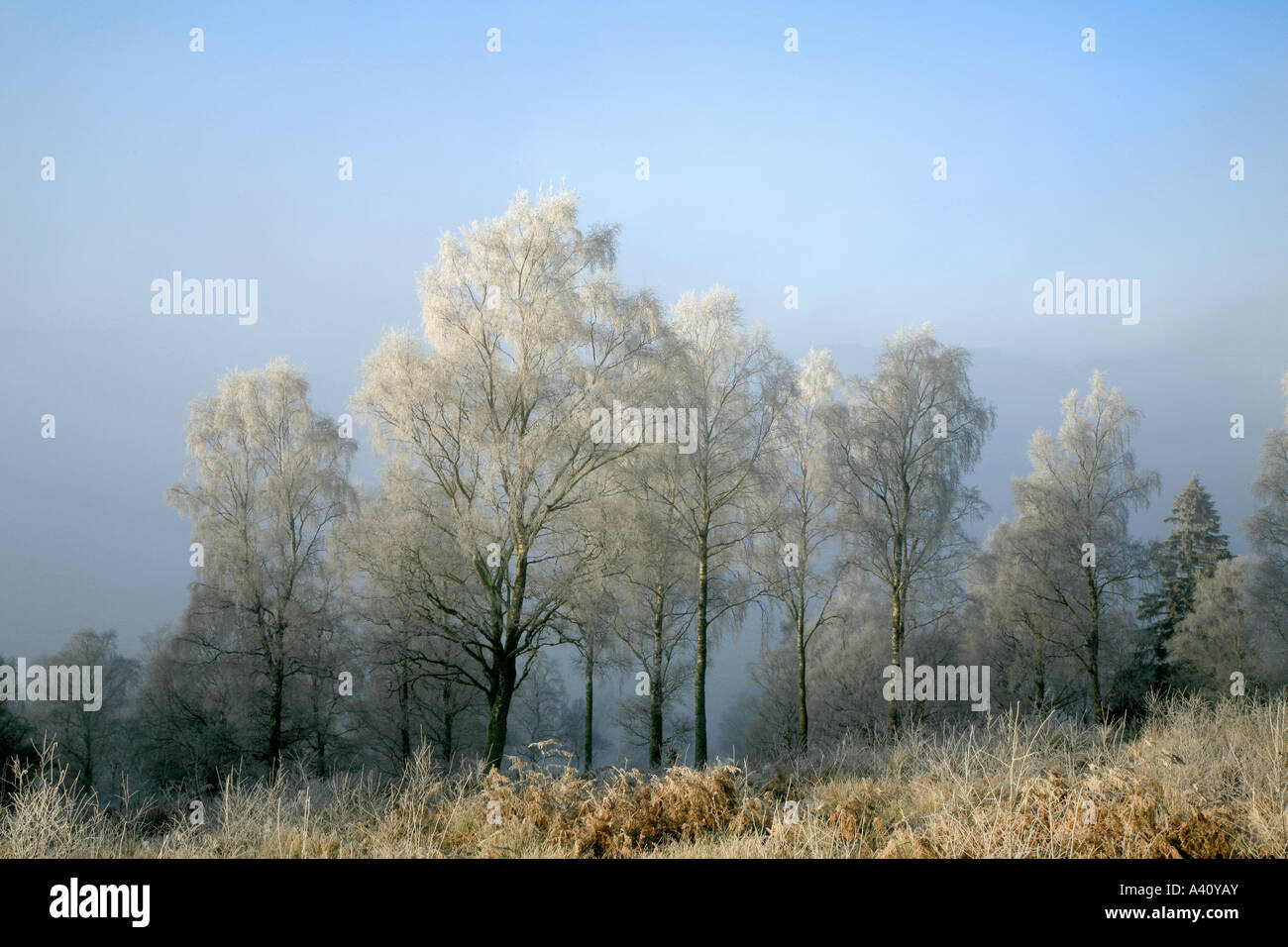 The valley of the tay the valley of the tay hi-res stock photography ...