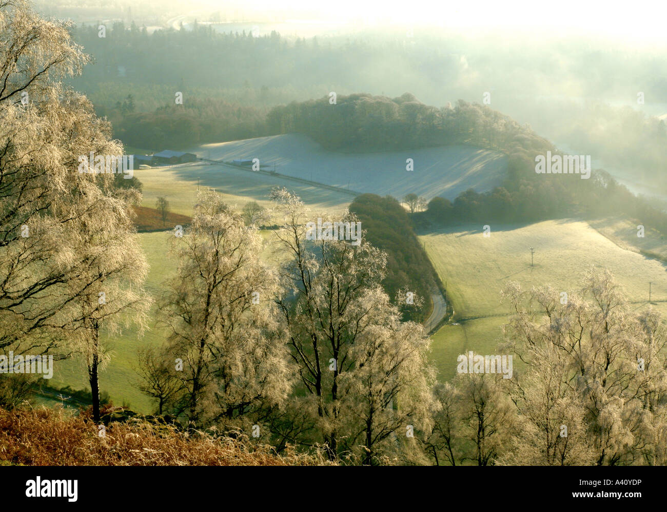 Tay valley perthshire scotland hi-res stock photography and images - Alamy