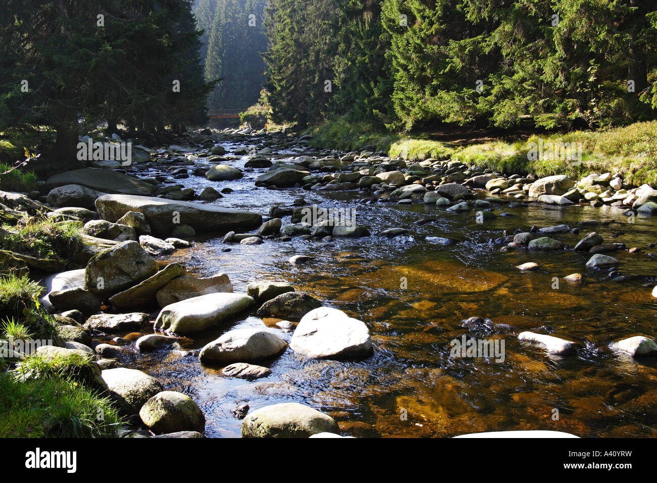 Sumava nationalpark tschechien hi-res stock photography and images - Alamy