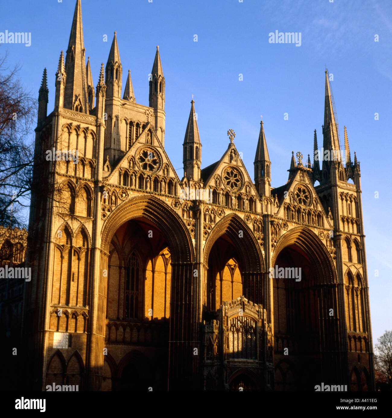 Peterborough cathederal Cambridgeshire UK Stock Photo - Alamy