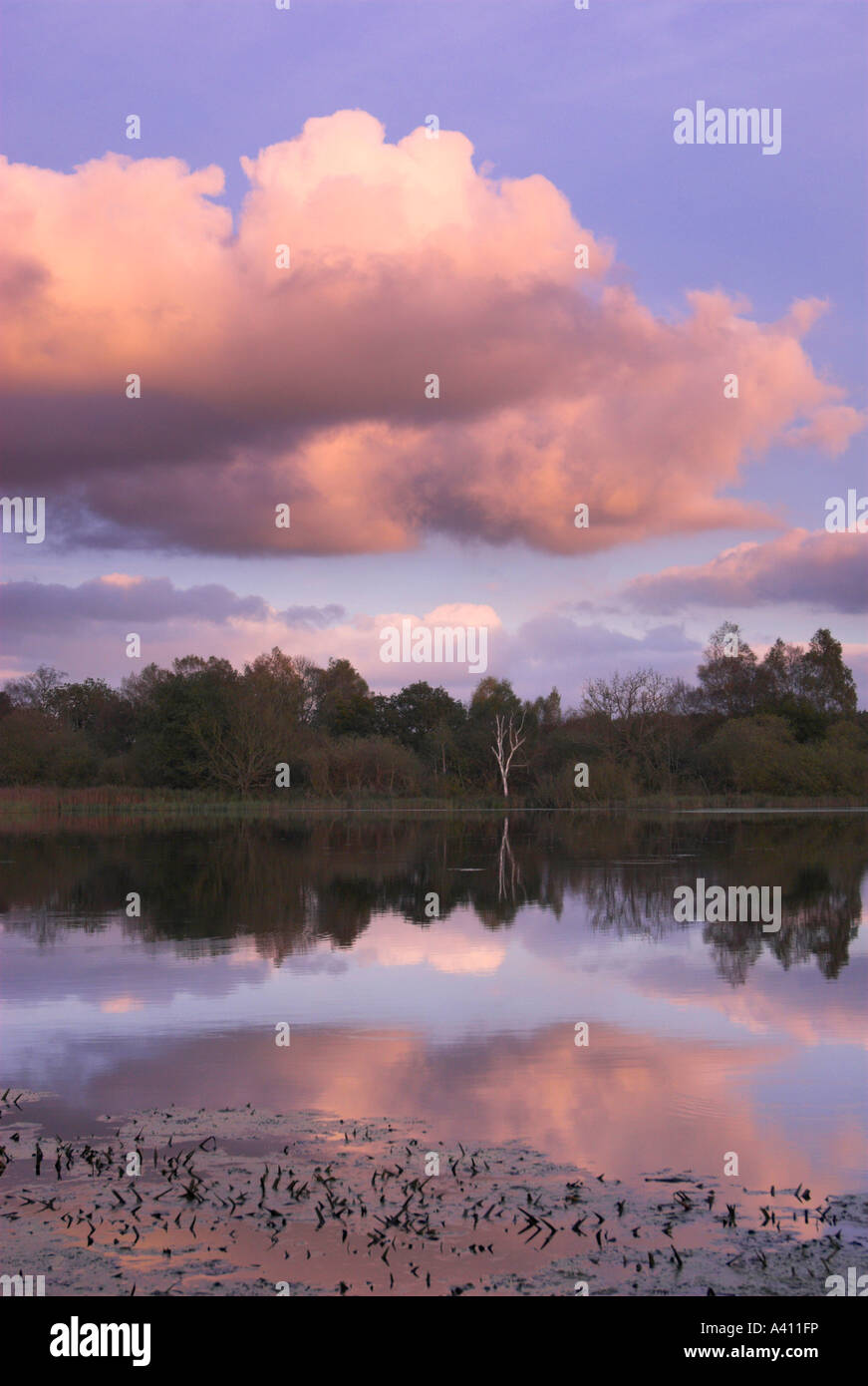 Thompson common hi-res stock photography and images - Alamy