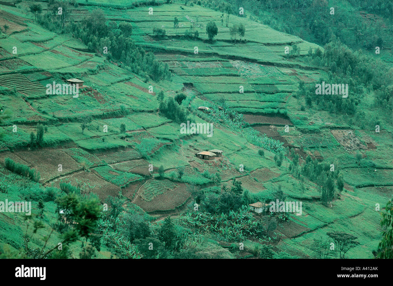 Terrace farming rwanda hi-res stock photography and images - Alamy