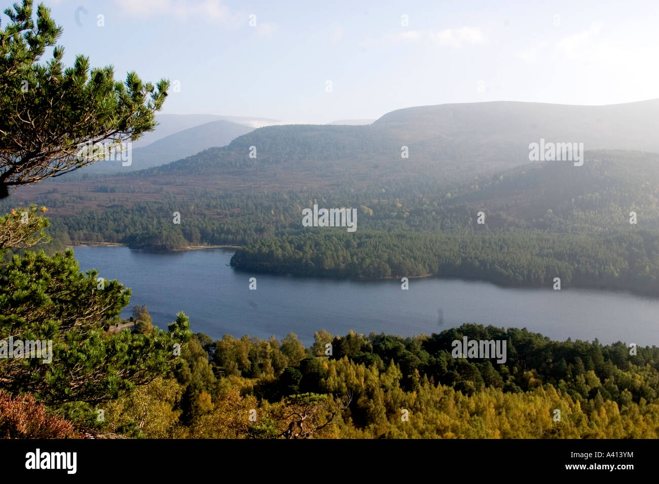 Cairngorm National Park, Aviemore, Scotland Stock Photo - Alamy