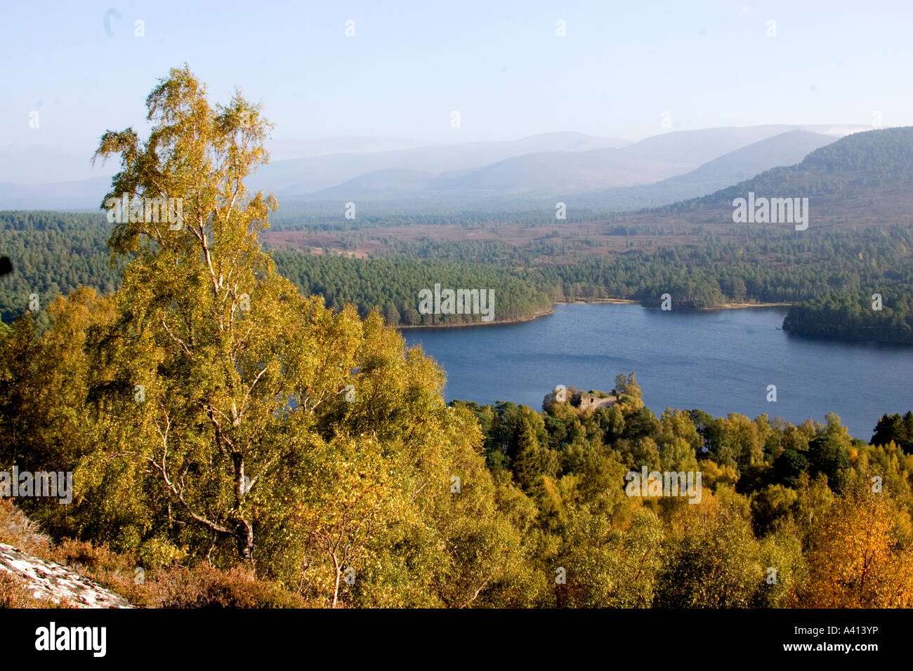 Cairngorm National Park, Aviemore, Scotland Stock Photo - Alamy