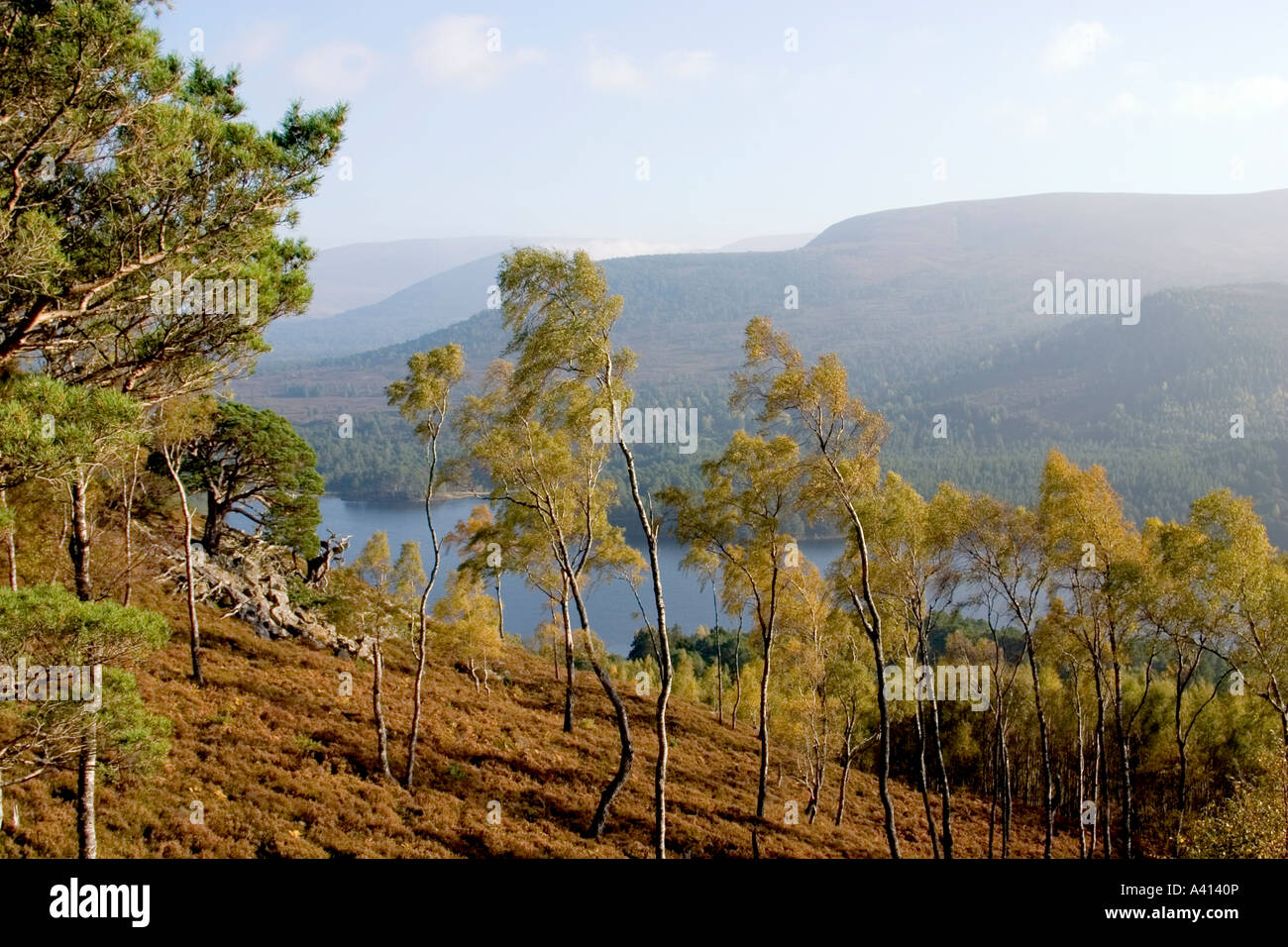 Cairngorm National Park, Aviemore, Scotland Stock Photo - Alamy